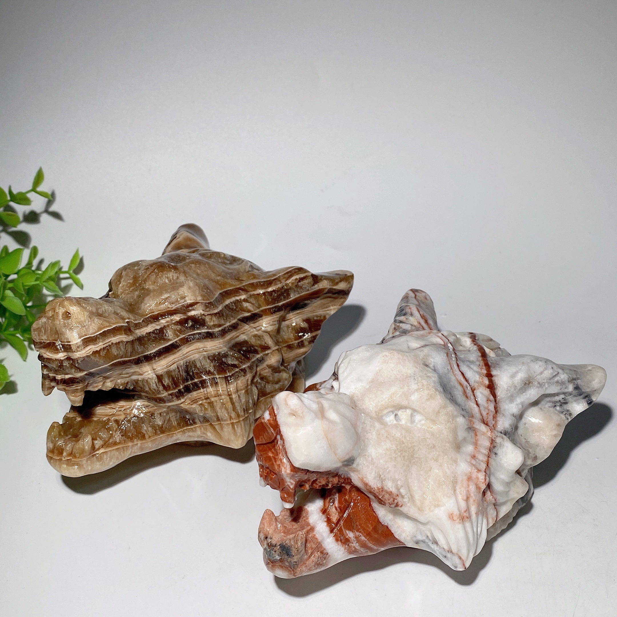 6.5" Chocolate Calcite Wolf Head Carvings Crystal Healing Bulk Wholesa